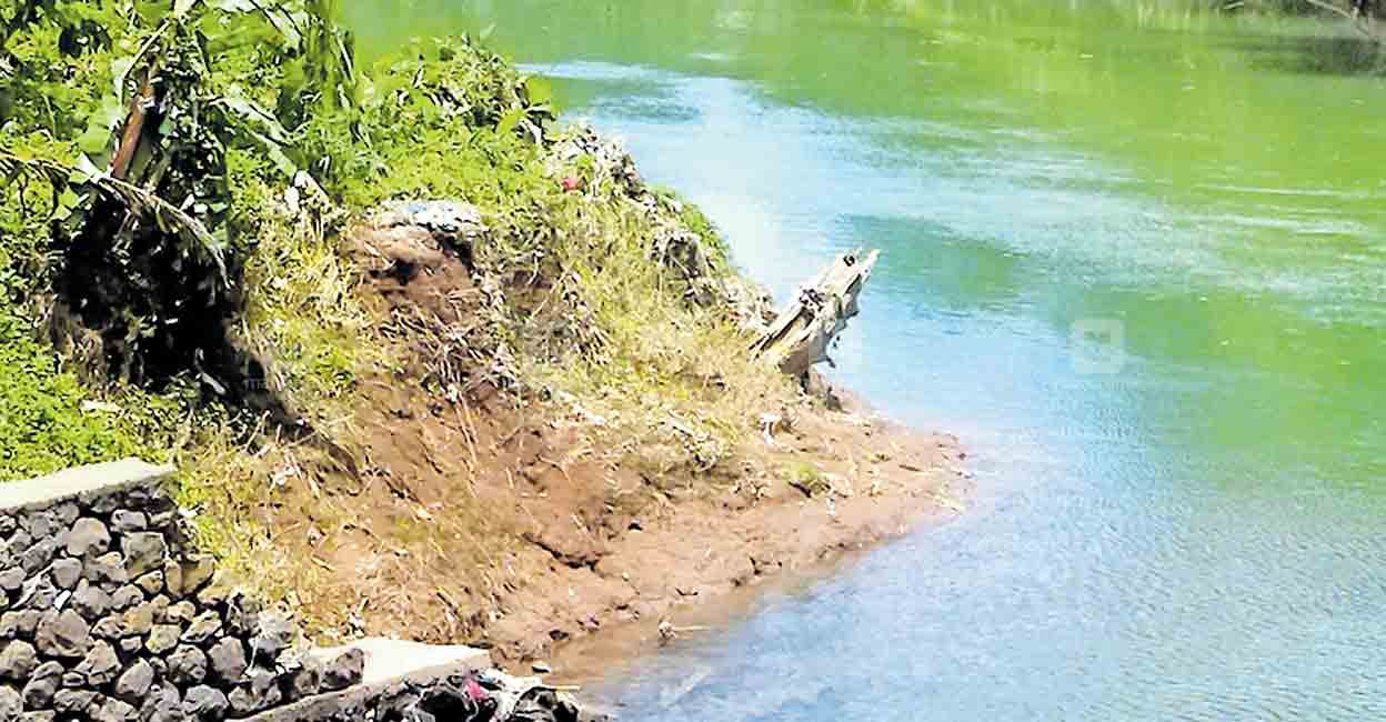 തീരം ഇടിഞ്ഞ് മണിമലയാർ; കൊരട്ടി മുതൽ ചേനപ്പാടി വരെ ഇരുകരകളും വ്യാപകമായി ...