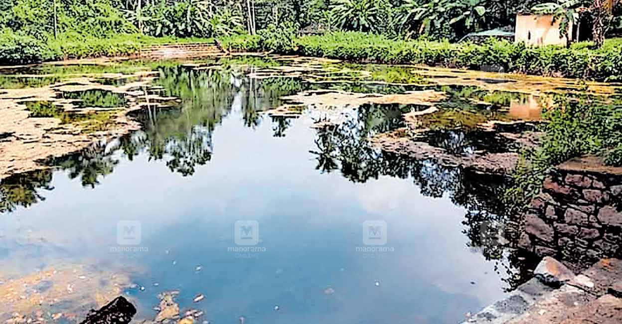 കോത്തലച്ചിറ കുളത്തിനു പുനർജനി ഫണ്ട് അനുവദിച്ചു