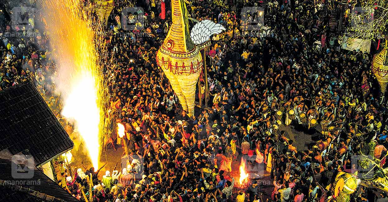 പടയണിക്കാലം വിടപറഞ്ഞിട്ടും തിരക്കൊഴിയാതെ നീലംപേരൂർ; അന്നങ്ങളുടെ ...