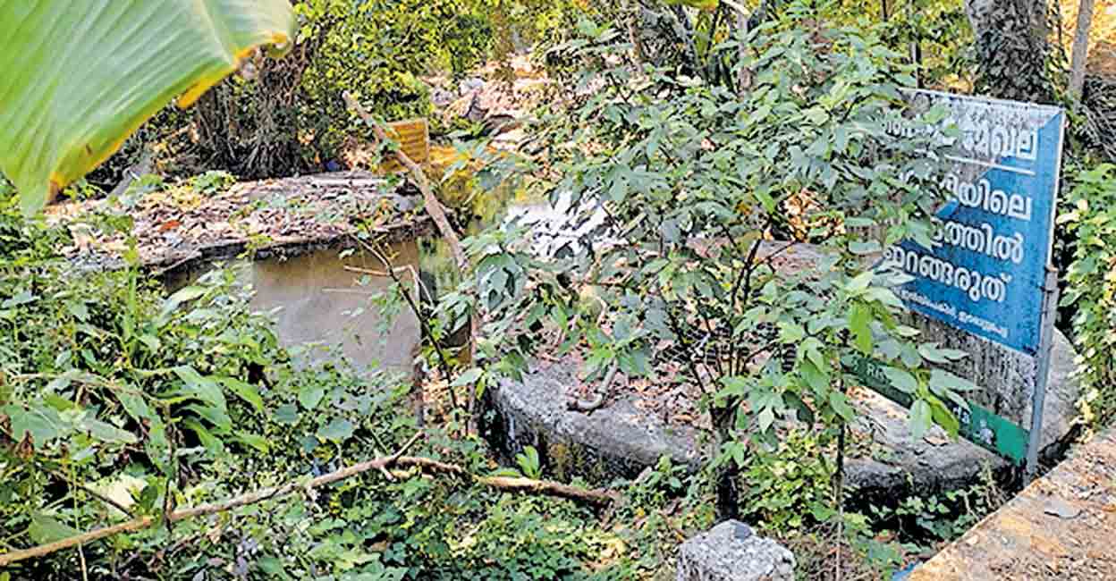 പൂഞ്ഞാർ തെക്കേക്കര പഞ്ചായത്തിലെ വിനോദ സഞ്ചാര കേന്ദ്രങ്ങ ...