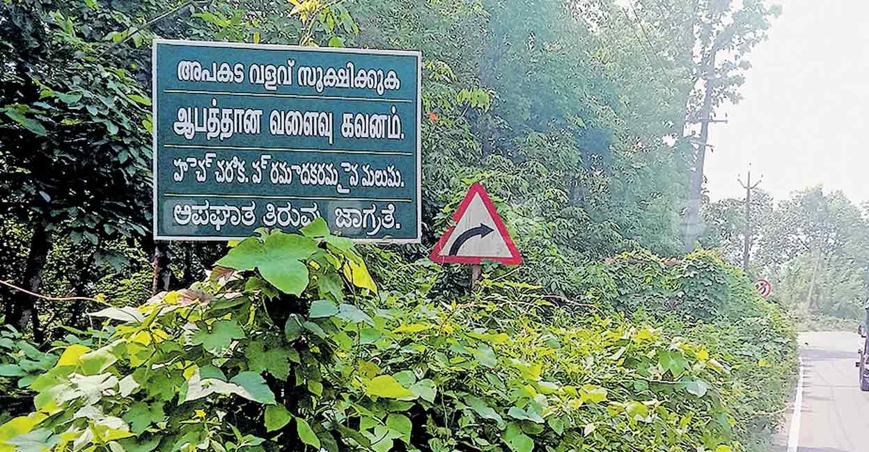 ദേശീയപാത ചിറ്റടി മുതൽ കൊടികുത്തി വരെ 6 കിലോമീറ്റർ, 6 അപകട വളവുകൾ!