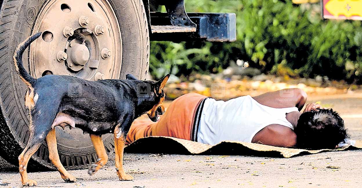 ഓടിച്ചിട്ടു കടിക്കുകയാണ്; ചങ്ങനാശേരിയിൽ നായയുടെ കടിയേറ്റത് 5 പേർക്ക് ...