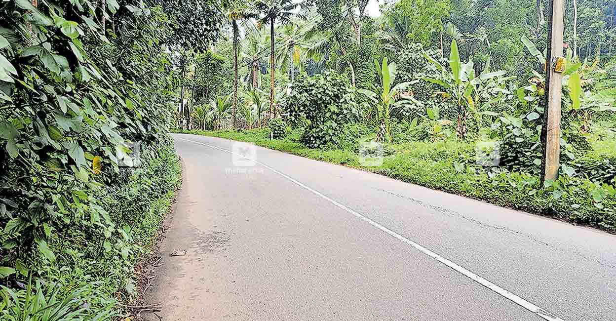 നന്നാകാൻ വിധിയില്ലാതെ പാലാ - കോഴാ റോഡ്