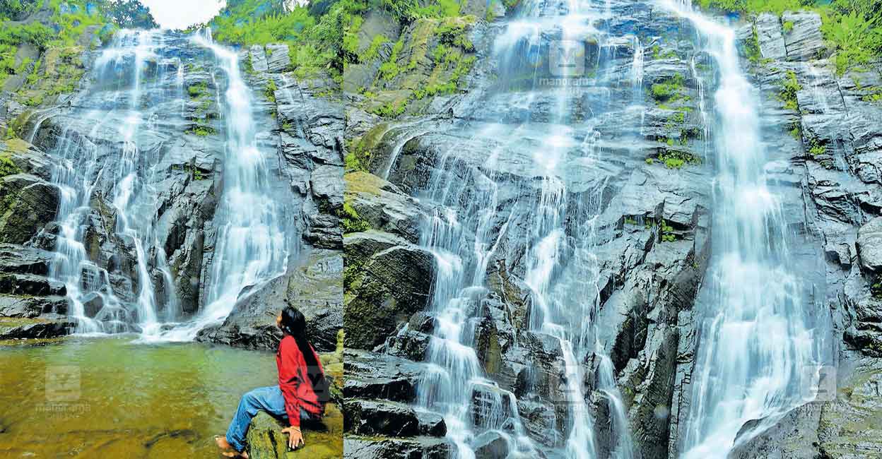 അരുവിക്കച്ചാൽ എന്നുവച്ചാൽ എന്തൊരു ഭംഗി; കോട്ടയം ജില്ലയിലെ ഏറ്റവും ഉയരം ...
