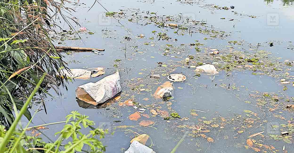 മീനച്ചിലാറ്റിലേക്ക് മാലിന്യം തള്ളുന്നു; ഉടൻ പിടികൂടണമെന്ന് നാട്ടുകാർ | Kottayam | Meenachila ...