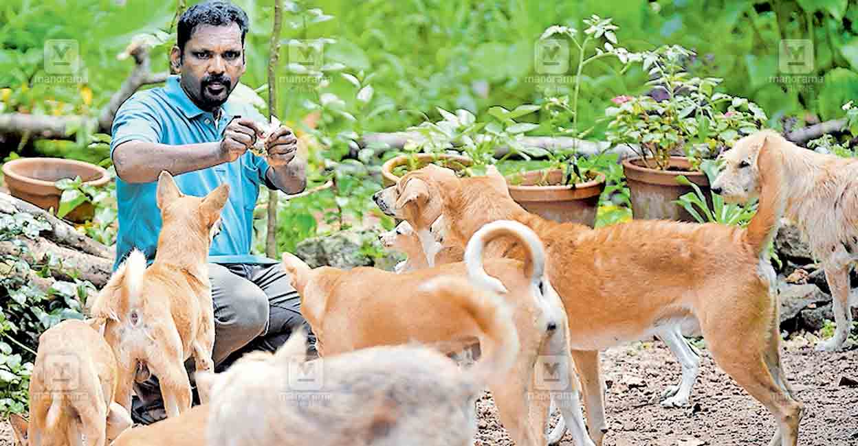 പഞ്ചായത്തിന്റെ വാക്കുകേട്ട് ജീവിതം വഴിമുട്ടി; വീടു നിറയെ തെരുവുനായ്ക്ക ...