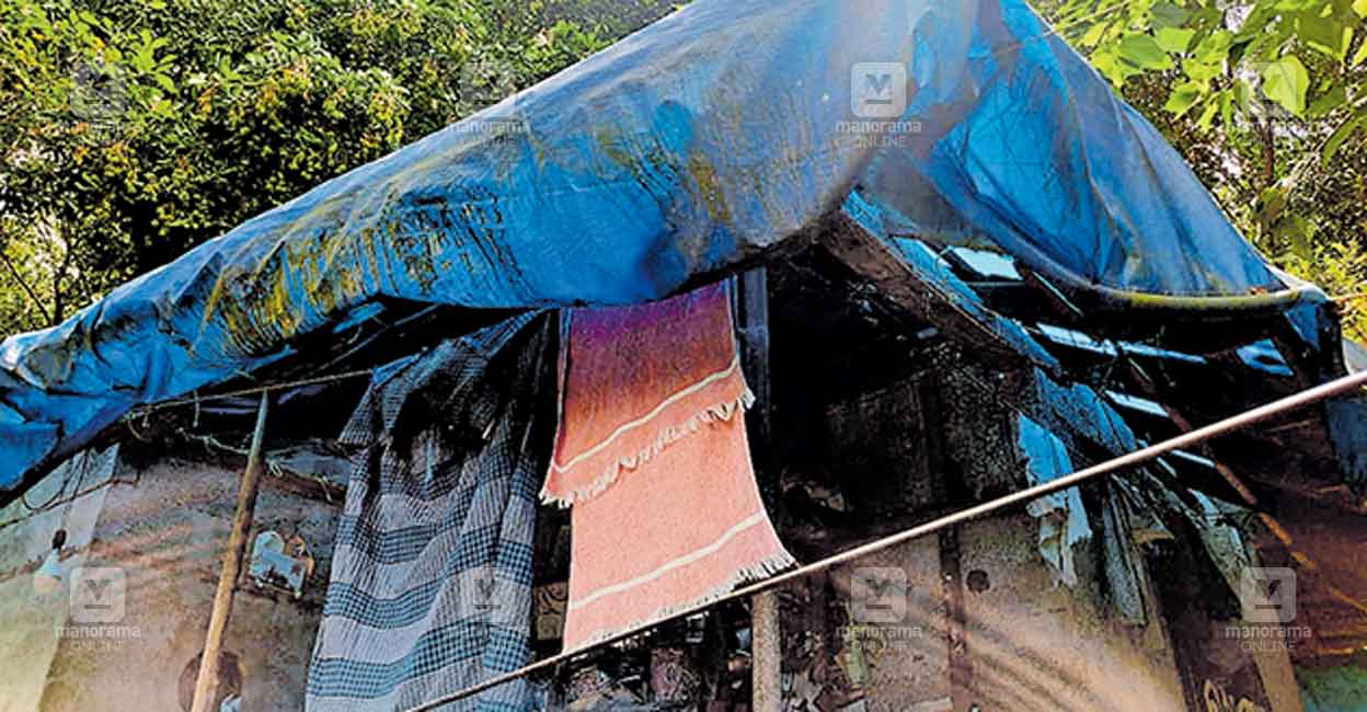 ‘ബാബുരാജിനും ശോഭയ്ക്കും ചോദിക്കാനുള്ളത് ഒന്നു മാത്രം: അടച്ചുറപ്പുള്ള ...