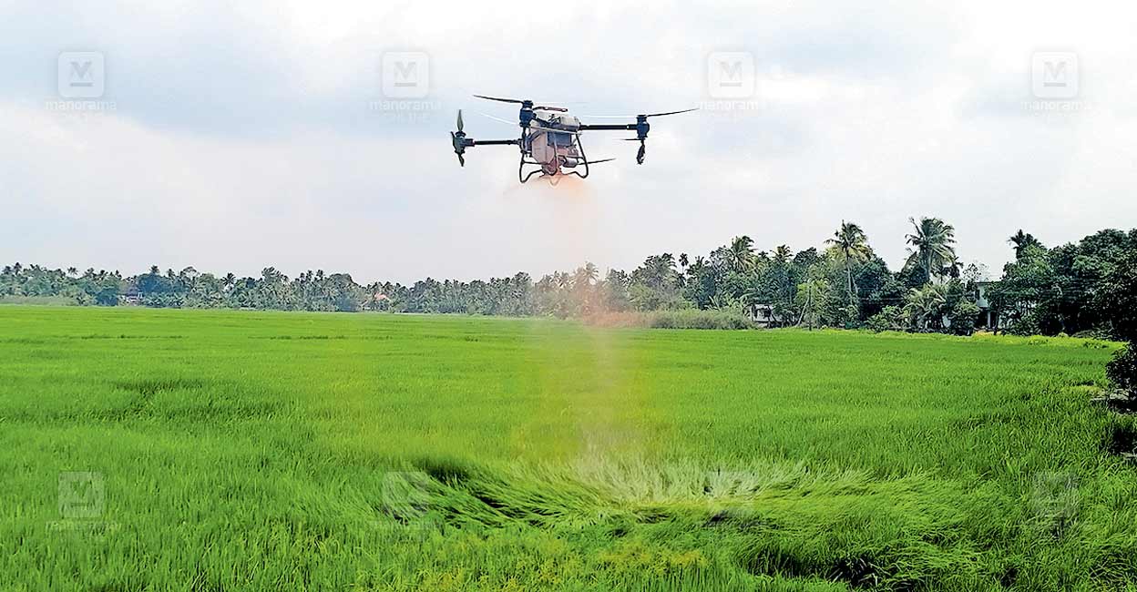 പാടത്തെ ‘ഡോൺ’; 65 ഏക്കറിൽ ‍7 മണിക്കൂർ കൊണ്ട് വളമിട്ട് ഡ്രോൺ | Drone ...