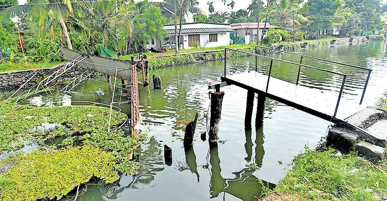കാറ്റ്, മഴ: 1970 ട്രാൻസ്ഫോമർ പ്രവർത്തനരഹിതം; ഇരുട്ടിലായത് 1.76 ലക്ഷം പേ ...