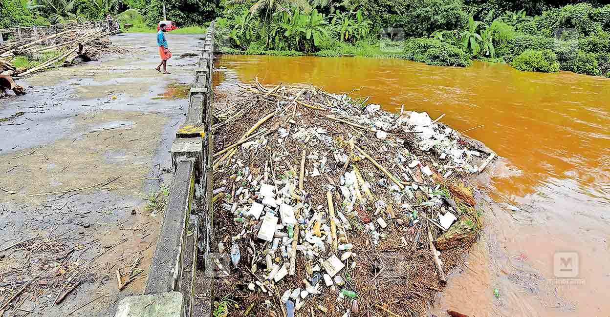 കനത്ത മഴ; കോട്ടയം ജില്ലയിലെ ആറുകളിൽ ജലനിരപ്പ് ഉയർന്നു; മരം വീണ് തക ...