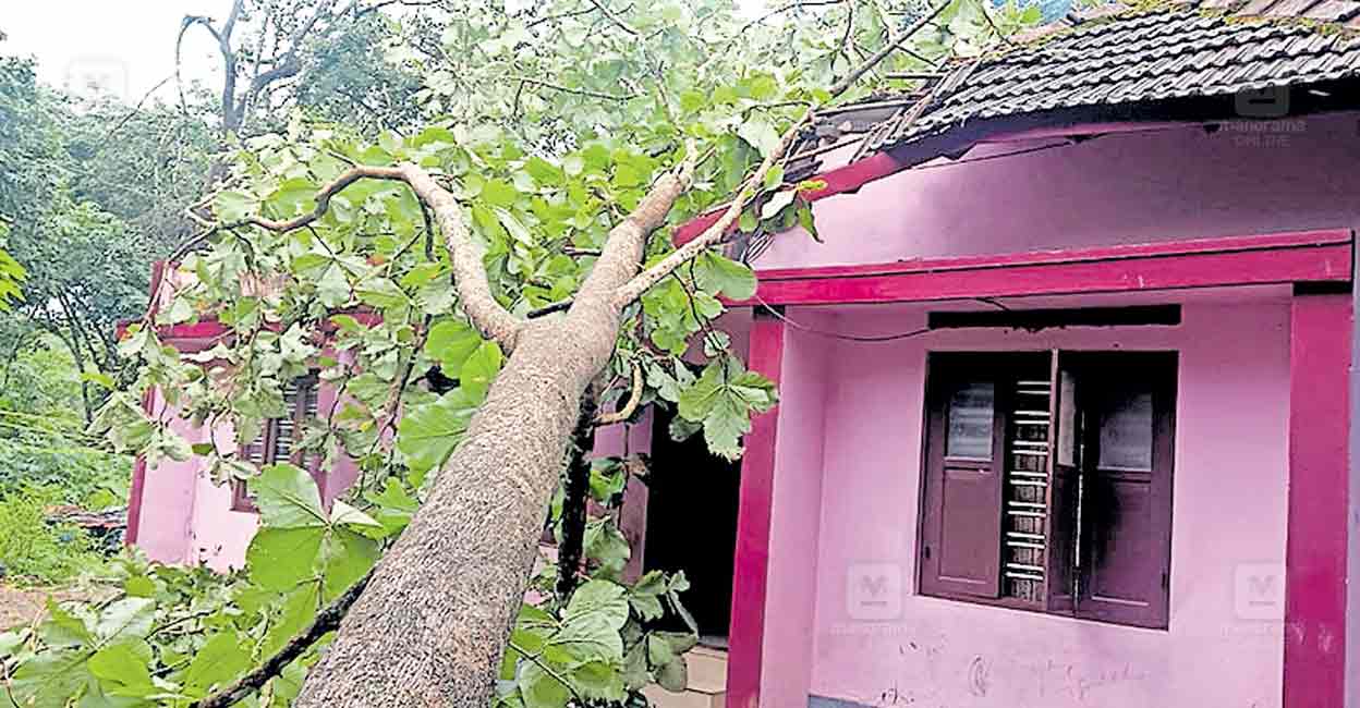 മഴയ്ക്കൊപ്പം ചുഴലിക്കാറ്റ്; വ്യാപക നാശം | Kaduthuruthy cyclone ...