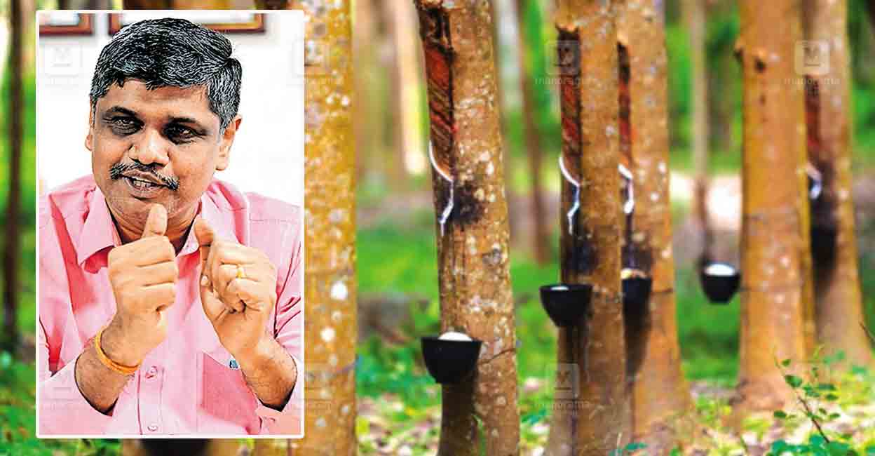 ‘ഇന്ത്യൻ റബറിന് നല്ല നാൾ വരും, കേരളത്തിനും പ്രയോജനം ലഭിക്കും’: എം ...