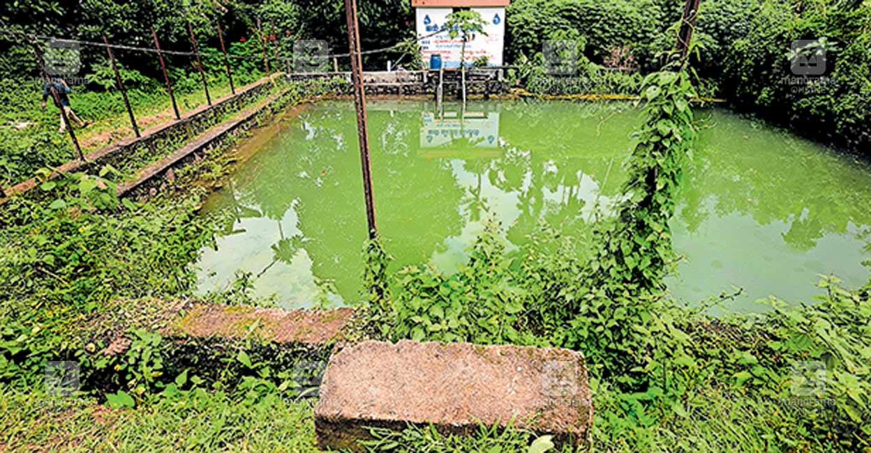 പള്ളിക്കത്തോട് അപകടം: ജീവനെടുത്തത് സംരക്ഷണവേലി കെട്ടുന്നതിൽ കാണിച്ച ...