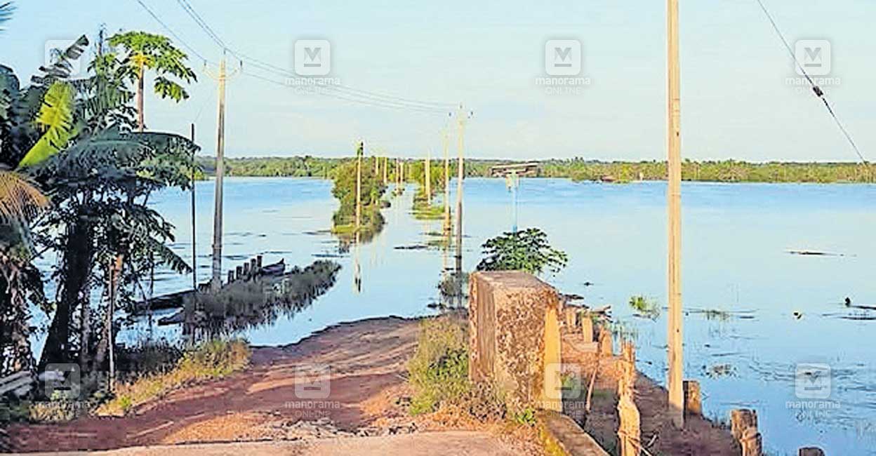 ദുരിതത്തുരുത്തായി മുണ്ടാർ; വെള്ളക്കെട്ടിൽ മുങ്ങി പ്രദേശം, റോഡും മറ്റു ...