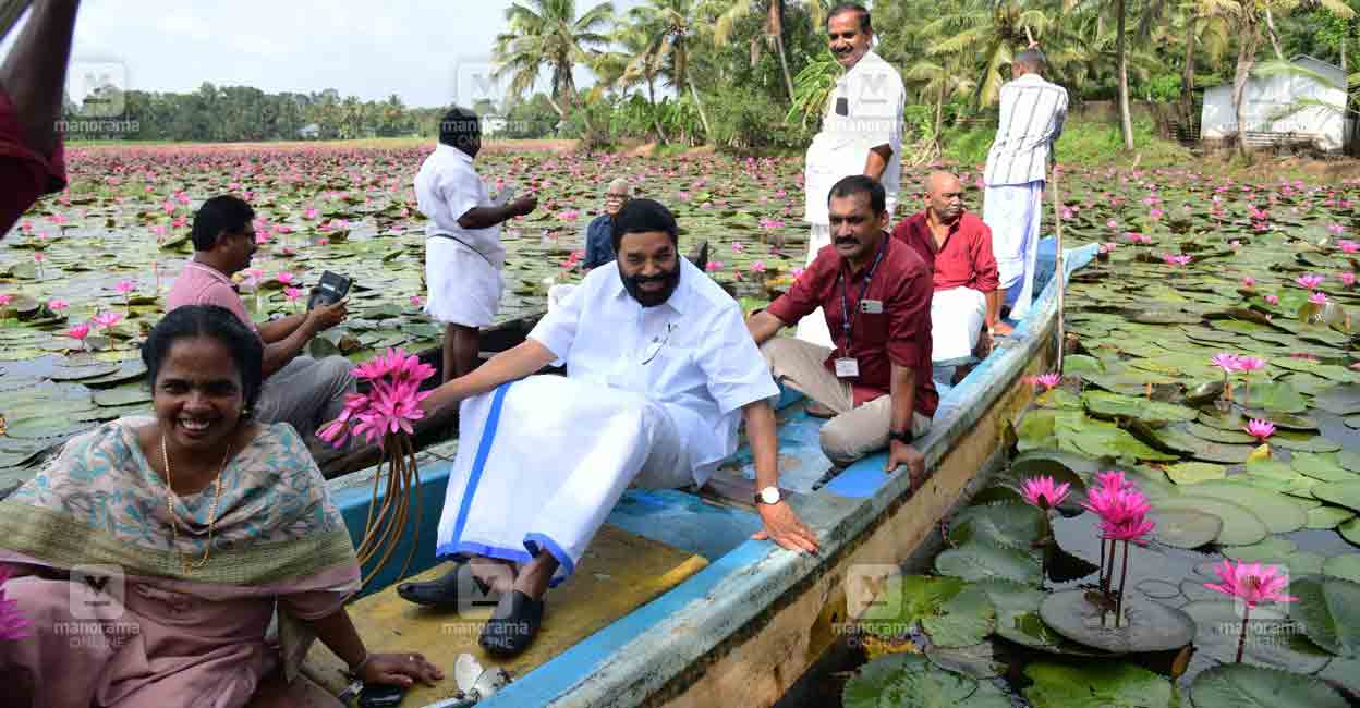 പുത്തൂക്കരിയിൽ സഞ്ചാരികളെ കാത്തിരിക്കുന്നത് ആമ്പല്‍ മാത്രമല്ല, കനാല് ...