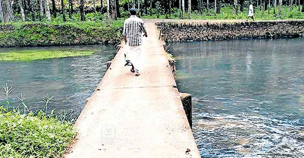 കൈവരികൾ ഇല്ലാതെ പഴൂർകടവ് നടപ്പാലം | Poonjar bridge accident ...
