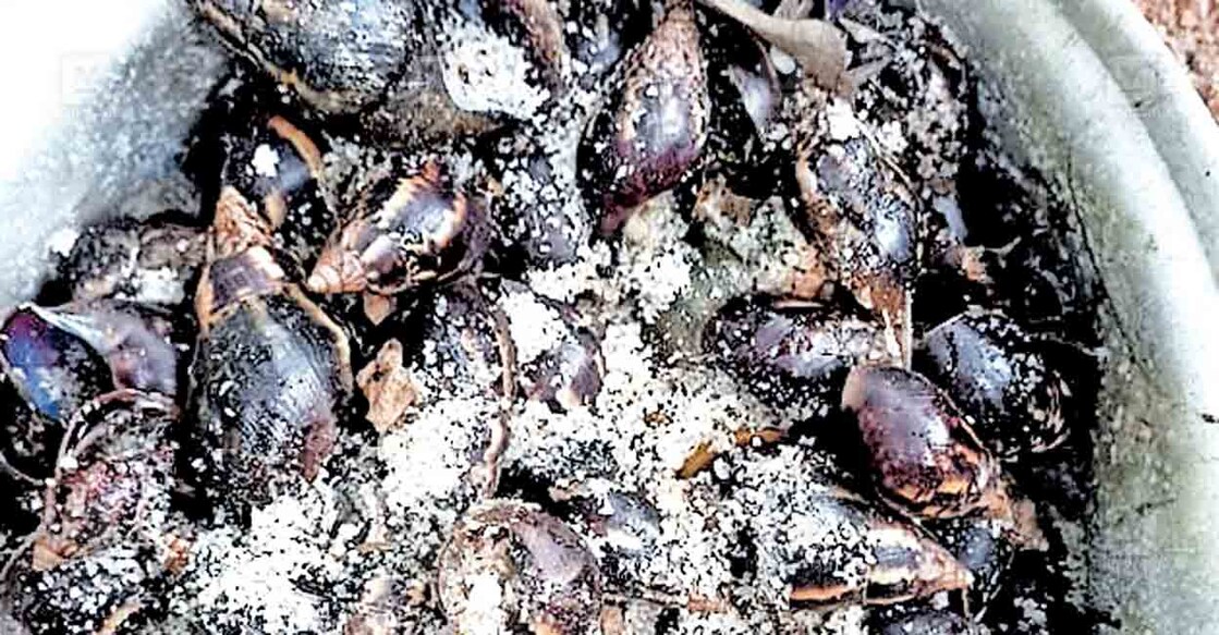 ഭക്ഷണം കഴിക്കാനോ പുറത്തേക്ക് ഇറങ്ങാനോ കഴിയാതെ ജനം ...