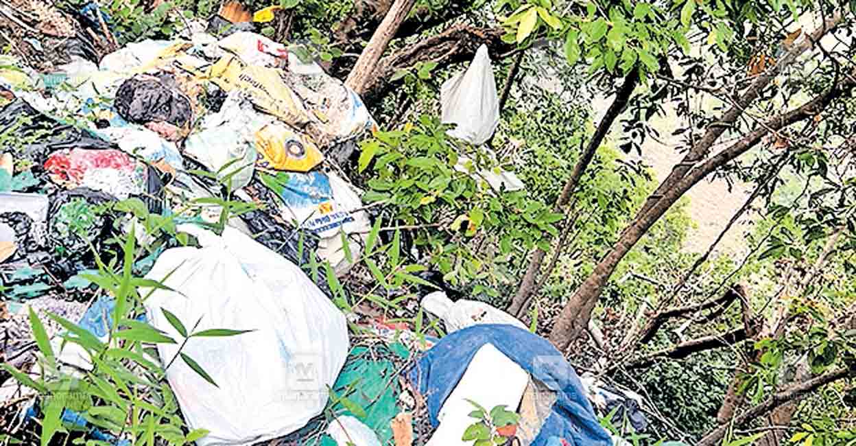 വാഗമൺ റോഡിൽ മാലിന്യം തള്ളുന്നത് പതിവാകുന്നു; പരിശോധനയ്ക്ക് അധികൃത ...