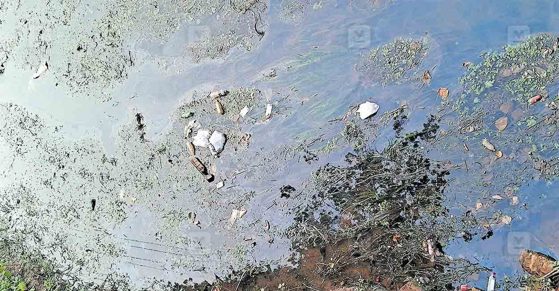 എന്തൊരു കഷ്ടം ! മാലിന്യം പേറി വലിയതോട് | Kaduthuruthy News | Waste in ...