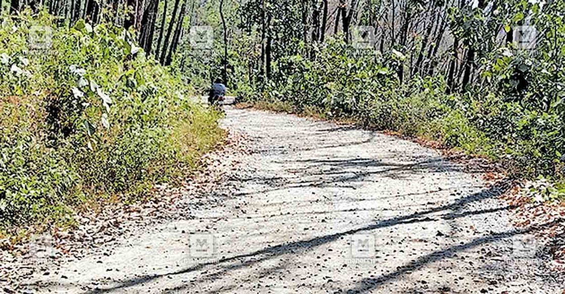 മുണ്ടക്കയം മേഖലയിൽ തകർന്നത് 3 പ്രധാന പാതകൾ; നന്നാക്കാൻ നടപടിയില്ല ...