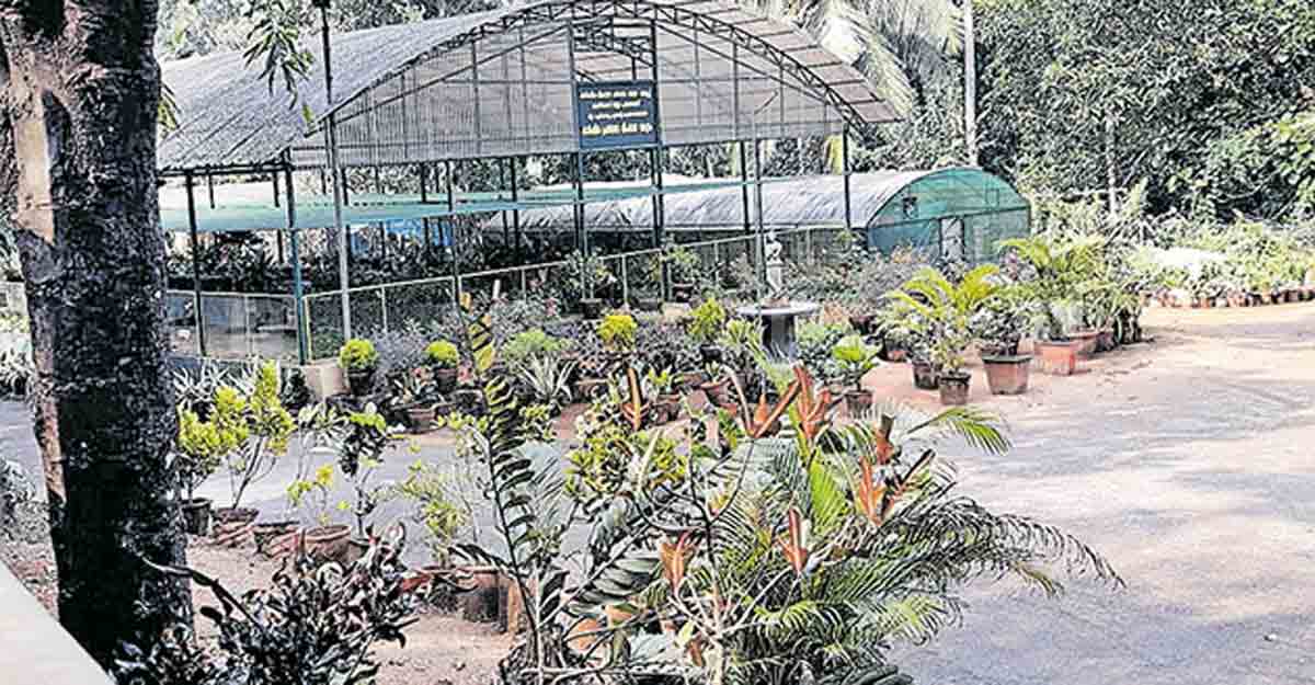 കൂത്താളി ഫാമിൽ ടൂറിസം വികസനത്തിന് പദ്ധതി