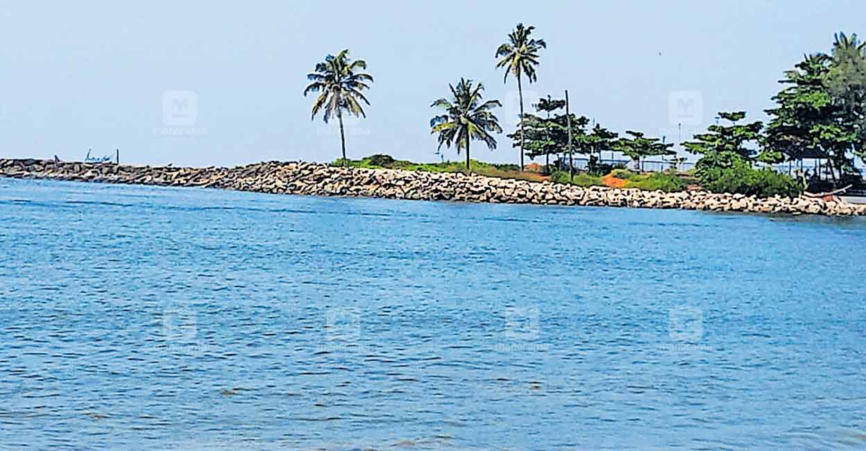 മാലിന്യം അടിഞ്ഞുകൂടി, മത്സ്യങ്ങൾ ചത്തുപൊങ്ങി; പുലിമുട്ടിൽ ജീവിതം വഴിമുട്ടി