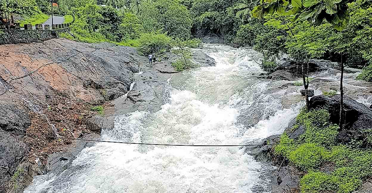 ആരെയും ആകർഷിക്കും പട്യാട്ട് പുഴ ; പക്ഷേ അപകടം പതിയിരിക്കുന്നു