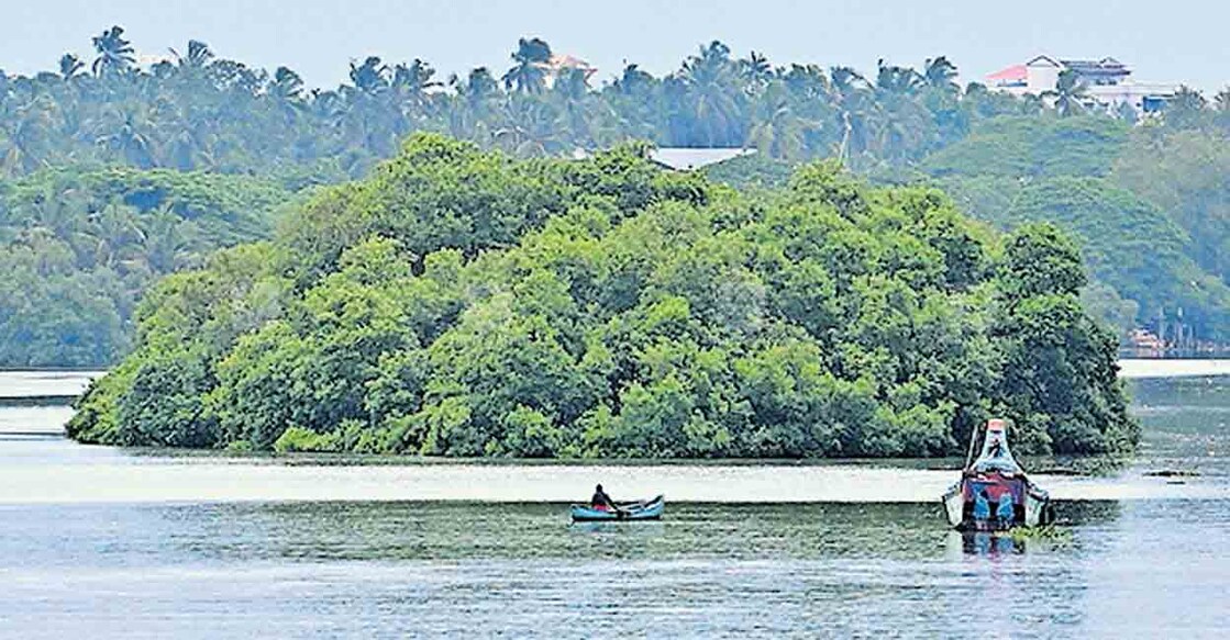 7.90 കോടിയുടെ ടെൻഡറിൽ ആരും പങ്കെടുത്തില്ല, കണ്ണീരാകുമോ കല്ലായി?