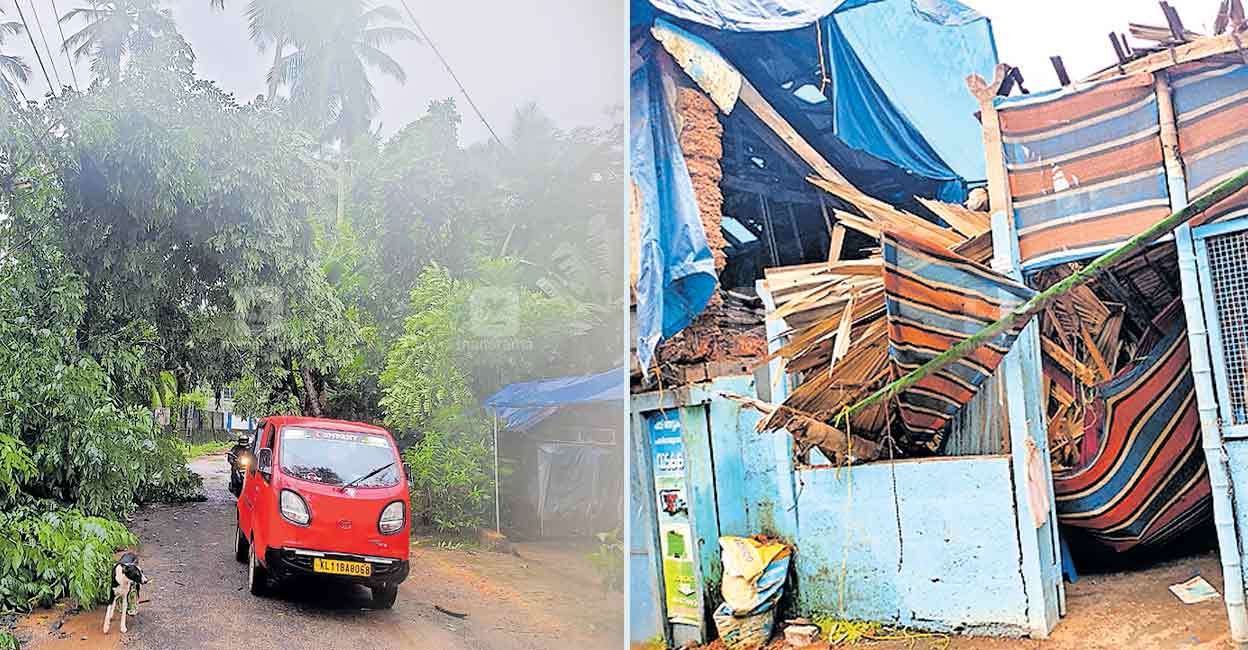 തിരുവമ്പാടി മേഖലയിൽ കാറ്റിലും മഴയിലും കനത്ത നാശനഷ്ടം | Kozhikode rain ...