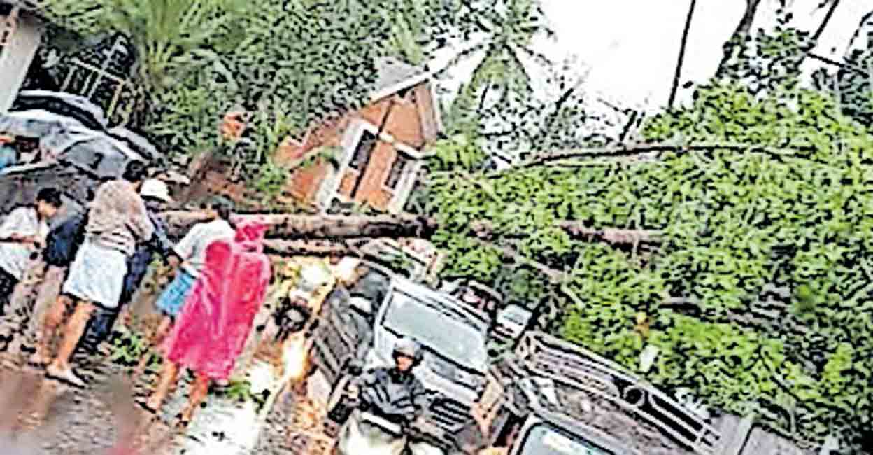 കരകവിഞ്ഞ് പുഴ; ദുരിതപ്പെയ്ത്ത് തുടരുന്നു | Kozhikode rain update ...