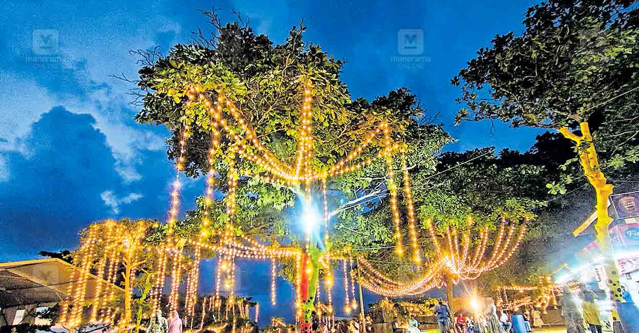 സിനിമ കാണാം, കടൽക്കാറ്റേറ്റ്; ഹോർത്തൂസ് കലാ സാഹിത്യോത്സവത്തി ...