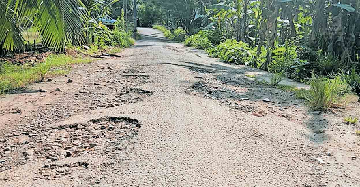 നൂഞ്ഞിക്കര–ചോലയിൽ റോഡ്: നവീകരണം നടന്നില്ല; നടന്നത് ‌അനാസ്ഥയും പഴിചാരലും ...