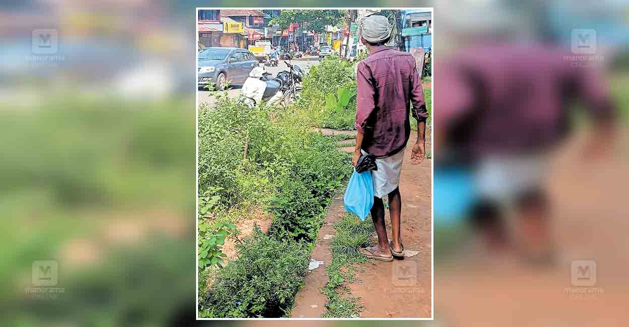 സ്ലാബ് ഇല്ല: കടിയങ്ങാട് അങ്ങാടിയിൽ അപകടം തൊട്ടരികെ | Open drains ...