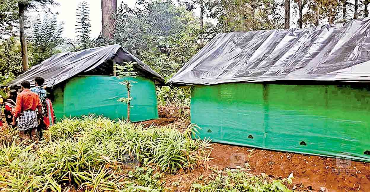 തിരുനെല്ലിയിലെ കുടിൽ പൊളിക്കൽ ഫോറസ്റ്റ് ഓഫിസർക്ക് സസ്പെൻഷൻ | Tribal ...