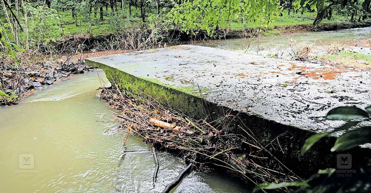ഒരു ചെറുപുഴ, അതിലും ചെറിയൊരു പാലം; ആർക്കും ഉപകാരമില്ലാതെ 17 വർഷമായി ഒരു ...