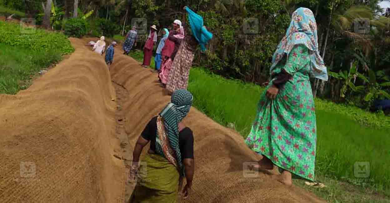 അഴിമതിരഹിതമാക്കാൻ പുതിയ നിർദേശങ്ങൾ; തൊഴിലുറപ്പു പ്രവൃത്തികളി ...