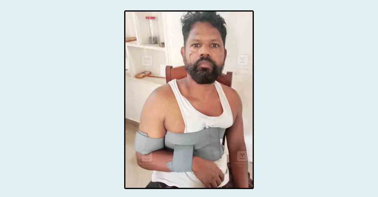 കാട്ടുപന്നിയുടെ ആക്രമണത്തിൽ യുവാവിന് പരുക്ക് | wild boar attack ...