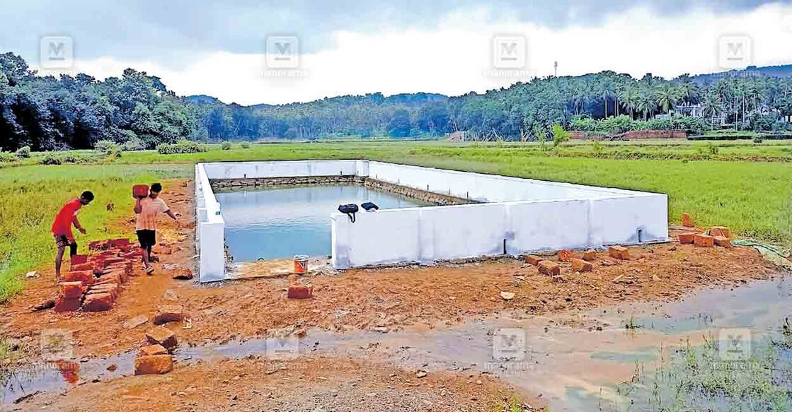 കാരക്കുറ്റിയിൽ നീന്തൽ പരിശീലന കുളം നിർമാണം അന്തിമഘട്ടത്തിൽ | Swimming ...