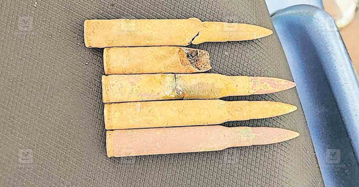 ചെടിക്ക് നിറയ്ക്കാൻ മണ്ണ് എടുക്കുന്നതിനിടെയാണ് കണ്ടെത്തിയത് വെടിയുണ്ടക ...