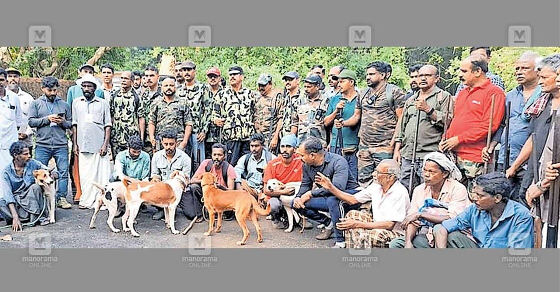 മാവൂരിൽ നായാട്ടുസംഘം എത്തി; കാട്ടുപന്നികളെ വെടിവച്ചു കൊന്നു | Mavoor Panchayat | wild boar hunt ...
