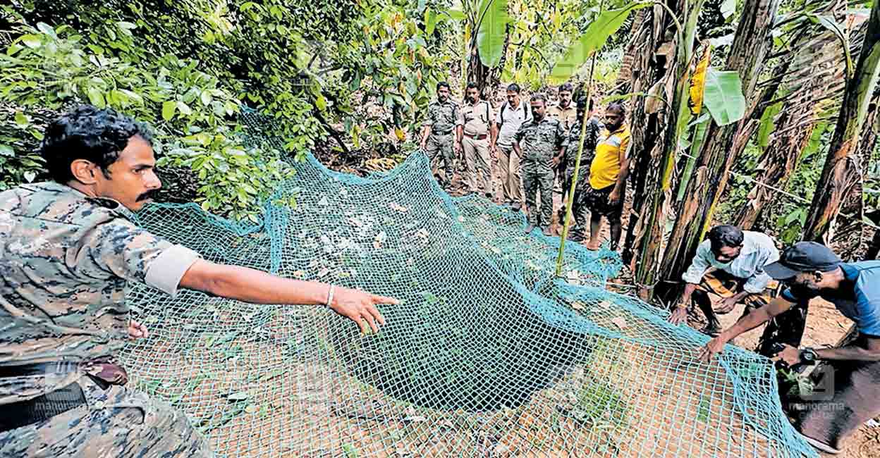 കിണറ്റിലെ ഗുഹയിൽ പുലി?; ക്യാമറ ഇറക്കി പരിശോധന: കോഴിക്കോട് കൂടരഞ്ഞിയി ...