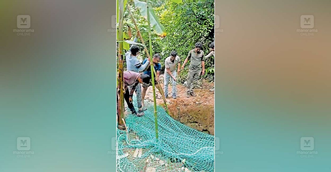 പെരുമ്പൂള പൊട്ടക്കിണറ്റിൽ അജ്ഞാത ജീവിയുടെ സാന്നിധ്യം സ്ഥിരീകരിച്ചു ...