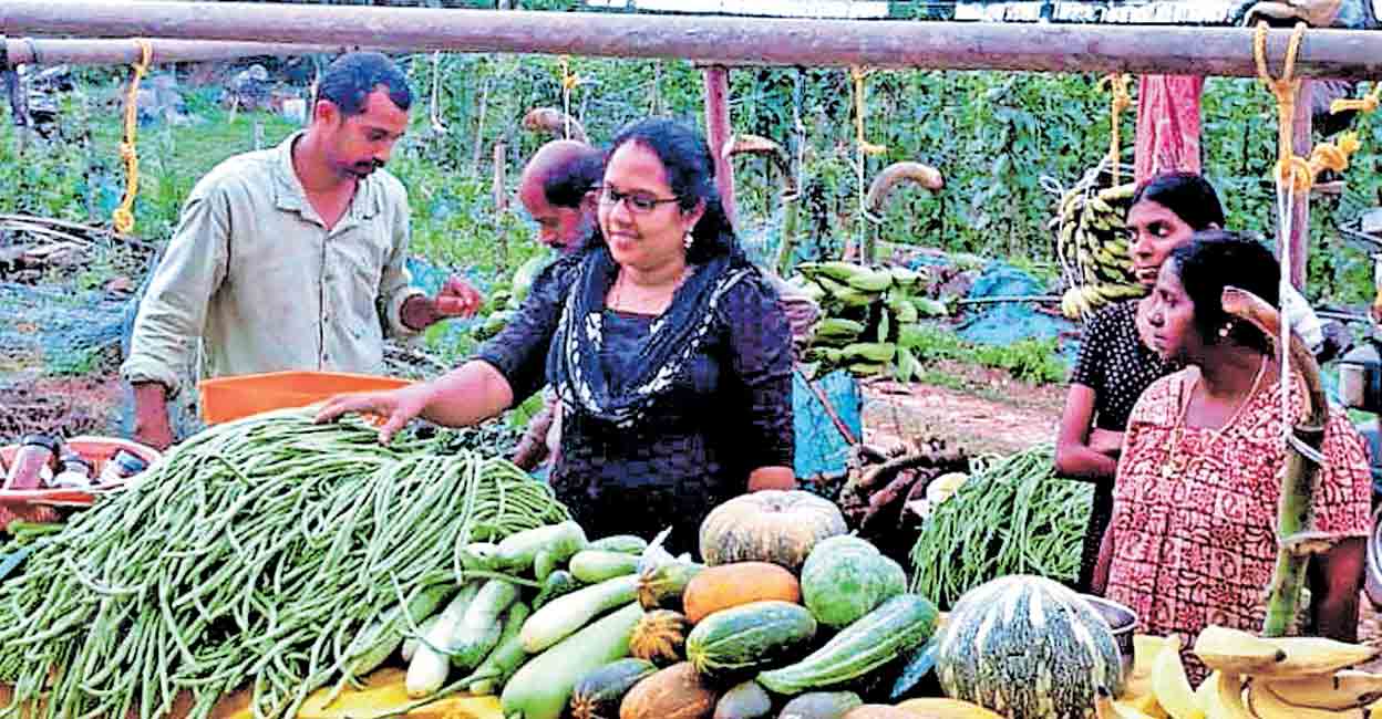 പച്ചക്കറി വിളവെടുപ്പും വിപണനവും നടത്തി വയലും വീടും കർഷക കൂട്ടായ്മ ...