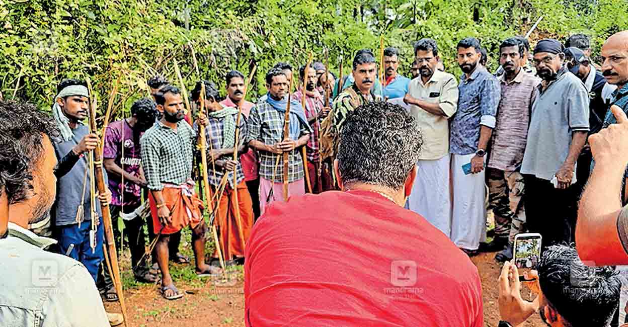 കുറിച്യർ പടയിലെ പിൻമുറക്കാരെത്തി; എയ്തുവീഴ്ത്തിയത് 22 കാട്ടുപന്നികളെ | Wild boar hunting Kerala ...