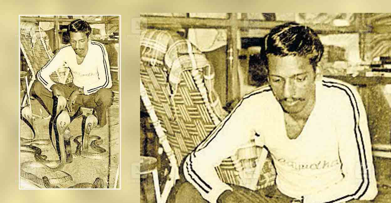 45 വിഷപ്പാമ്പുകളോടൊത്ത് 681 മണിക്കൂർ കണ്ണാടിക്കൂട്ടിൽ; സ ...