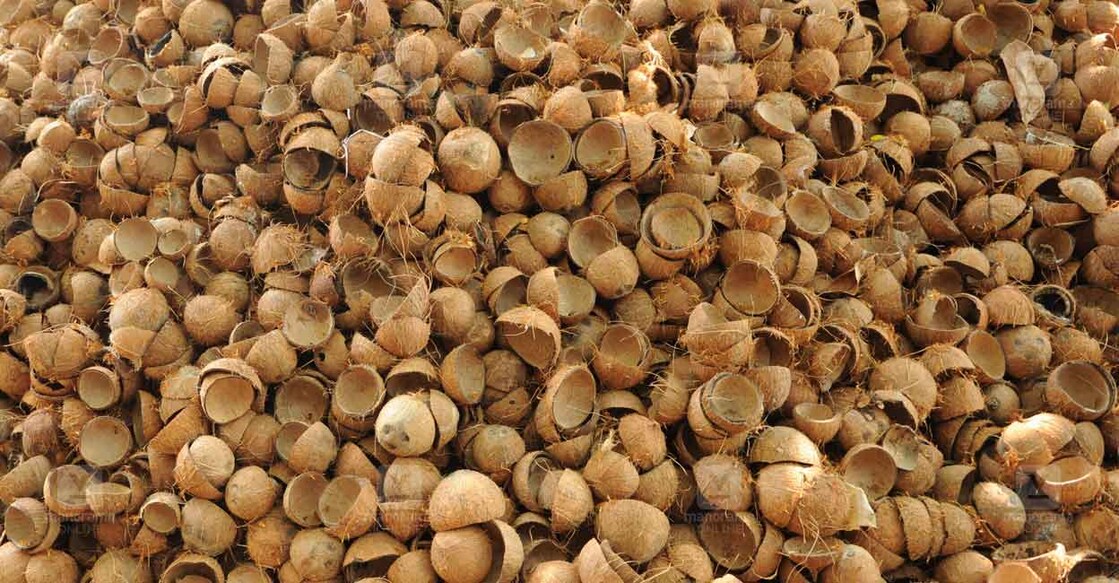 വില കിലോയ്ക്ക് 40 രൂപ; ജയിലുകളിൽ കുന്നുകൂടുന്ന ചിരട്ട വിറ്റ് ...