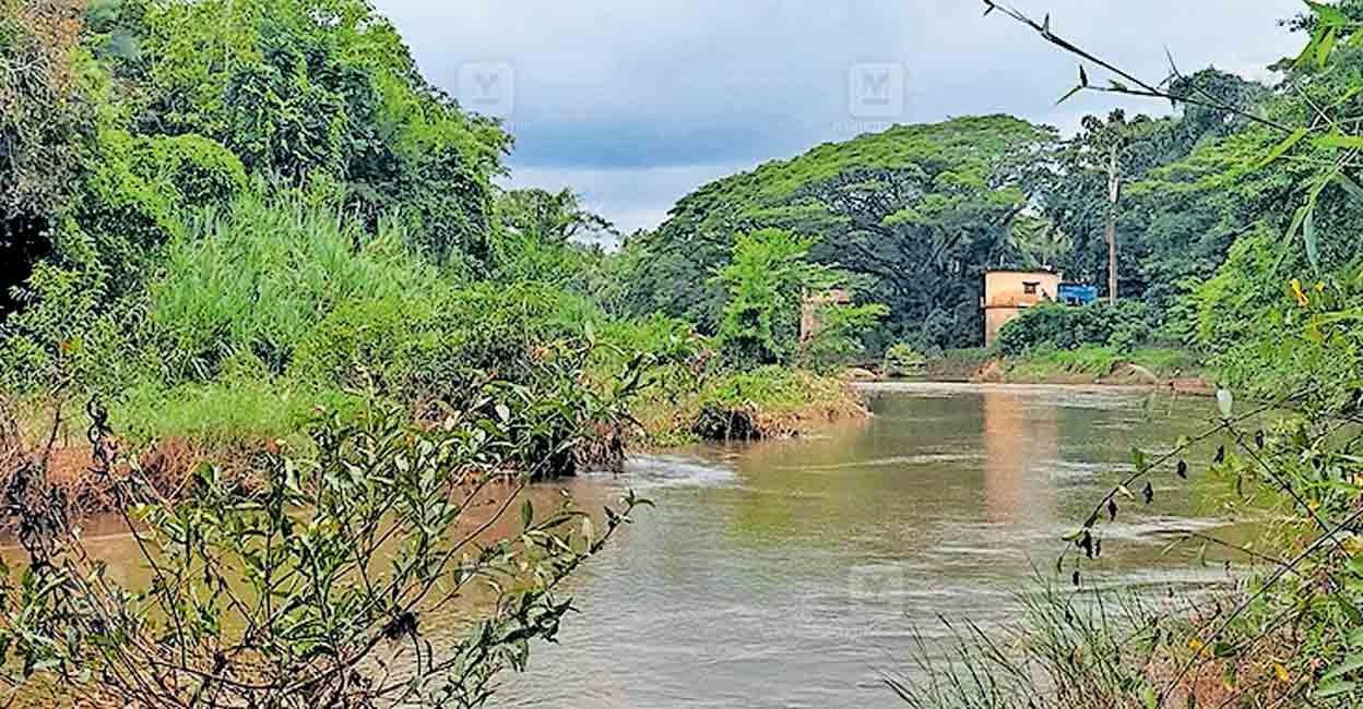 ചെറുപുഴയിൽ മണൽത്തിട്ടകൾ; പ്രളയഭീതിയിൽ നാട്ടുകാർ | Cherupuzha river ...