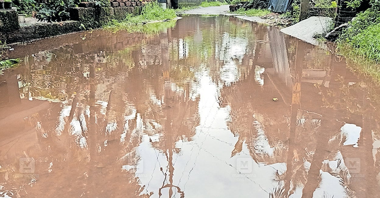 നാശം വിതച്ച് കാറ്റും മഴയും; ദുരിതം പേറി നാട്ടിൻപുറം | Feroke | heavy ...