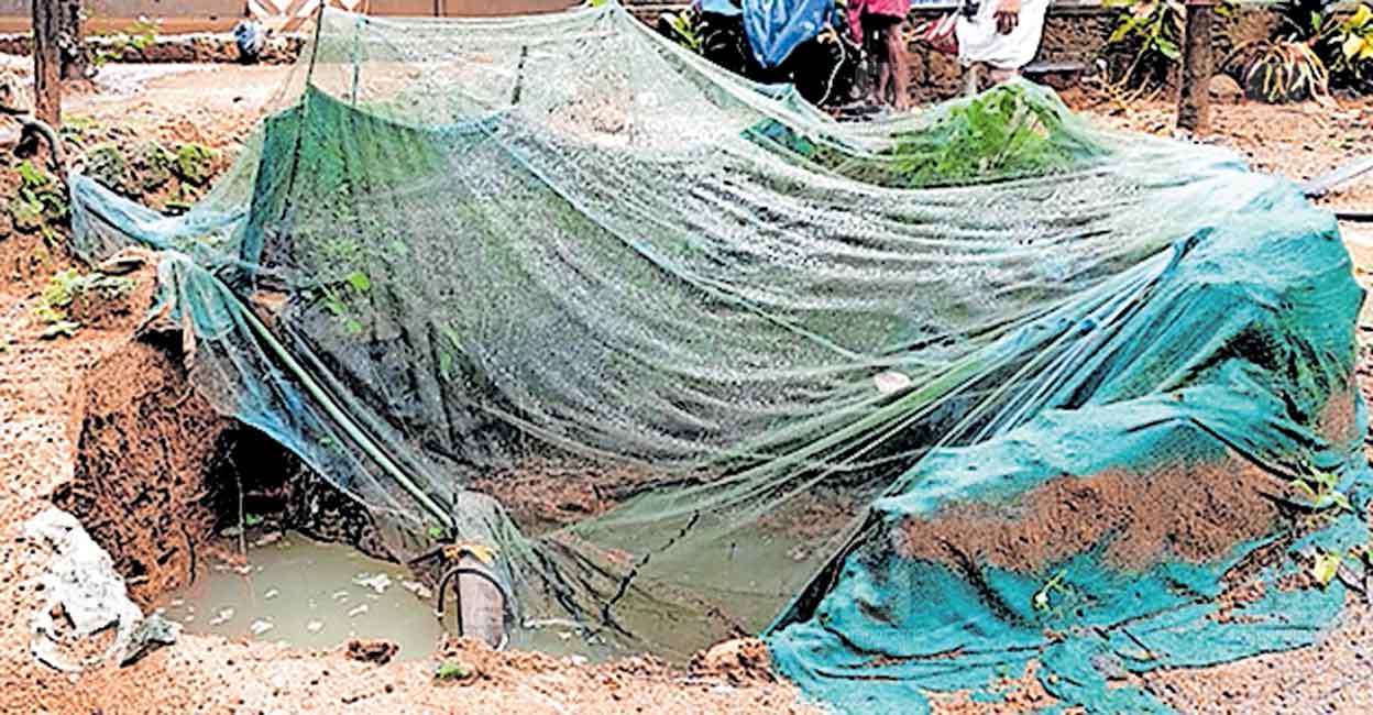 നാദാപുരം മേഖലയിൽ മിന്നൽ ചുഴലി; 26 ഇടങ്ങളിൽ നാശനഷ്ടം | Nadapuram ...