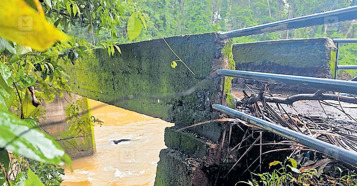 വീണ്ടും ഭീതിയുടെ മലവെള്ളപ്പാച്ചിൽ; പുഴയോര വാസികൾ ഭീതിയിൽ | Nadapuram ...